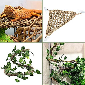 Hamiledyi Foldable Reptile Terrariums Kit, 5PCS Gecko Tank Starter Kits Mini Transparent Lizard Habitat Cages for Iguana, Snake, Bearded Dragon, Tortoise, Chameleon 15.6" x 11.6" x 9.4" White