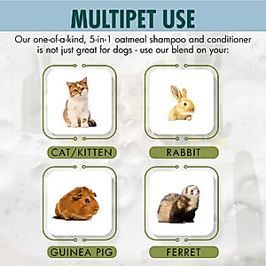 Pro Pet Works All Natural Soap Free 5 in 1 Oatmeal Dog Shampoo and Conditioner-Sulfate Free for Dandruff Allergies & Itchy Dry Sensitive Skin-Puppy Grooming for Smelly Dogs -17oz