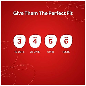 HUGGIES Little Movers Diapers, Size 6, 42 Count (Packaging May Vary)