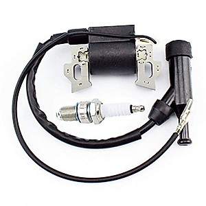 Ignition Coil For Honda GX120 GX160 GX200 Engine Generator Rototiller 4589693 30500-ZE1-073 with Spark Plug Air Filter by TOPEMAI