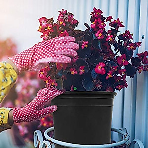 Mhonniwa 1 Gallon Nursery Pots for Plants Plastic Pots with Drainage Hole and Saucer for Indoor Outdoor Plants, Seedlings, Succulents and Cuttings, Black, 6 inch 12 Pack