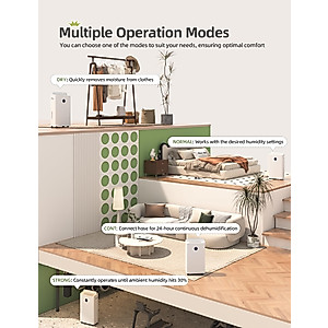 4500 Sq. Ft Dehumidifier for Basement, 50 Pints Large Dehumidifiers for Home with drain hose and 5L Water Tank, Powerful Moisture Removal for Whole House, Large Room, and Intelligent Humidity Control