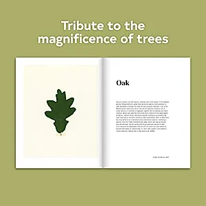 Forest: (Tree Photography Book, Nature and World Photo Book)