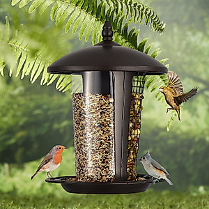Tyndall Space Time Wild Bird Feeder for Outside, with Double Layer Squirrel Proof Large Hanging Metal Bird Feeders, Garden Yard Outdoors Decoration, 3Lbs Bird Seed Capacity