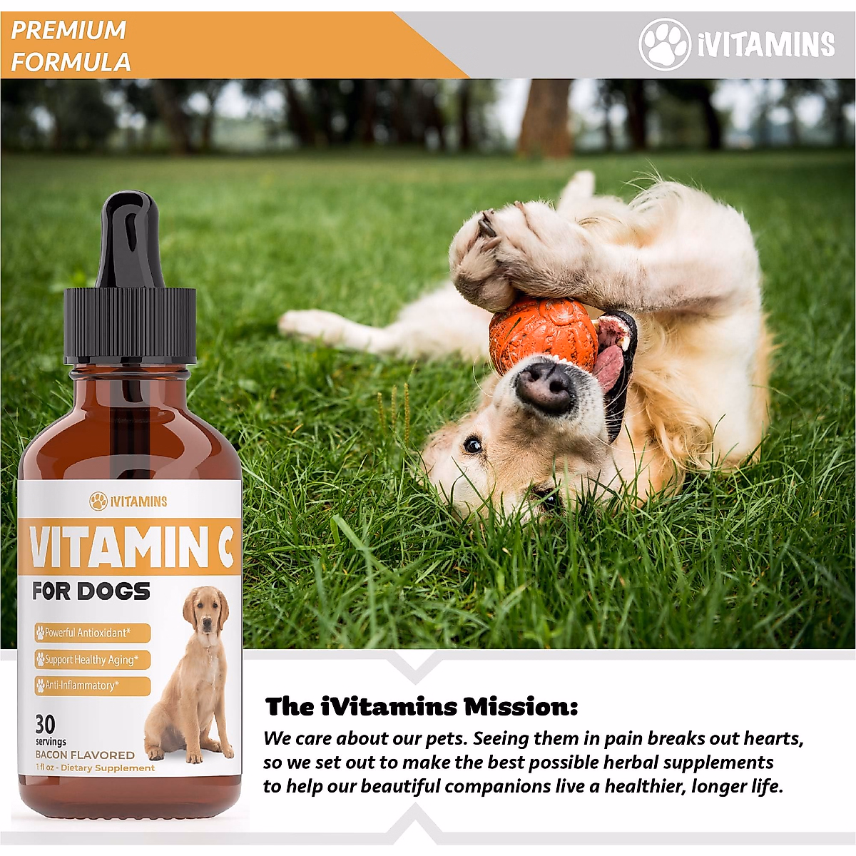 Vitamin C for Dogs | Helps with Improving Immune Health | Vitamin C for Dogs Liquid | Dog Immune Support | Dog Immune and Allergy Supplement | Dog Immune Booster | 1 oz Bacon Flavor