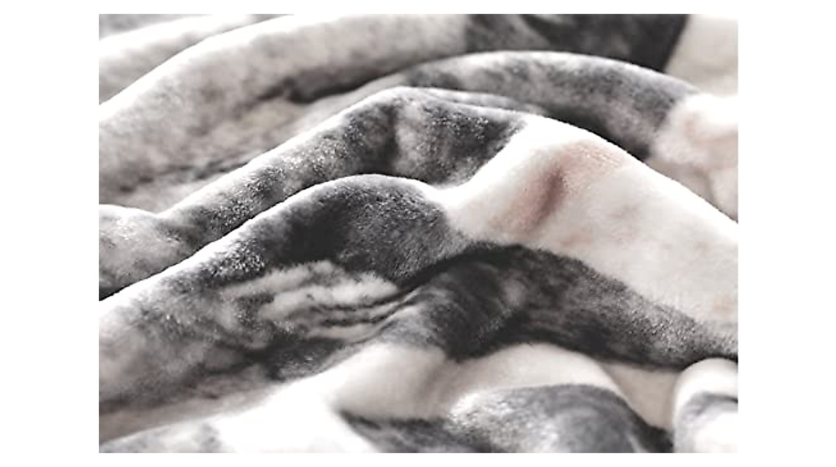 USA 100 Dollar Blanket - Cozy Travel, Hiking, Camping