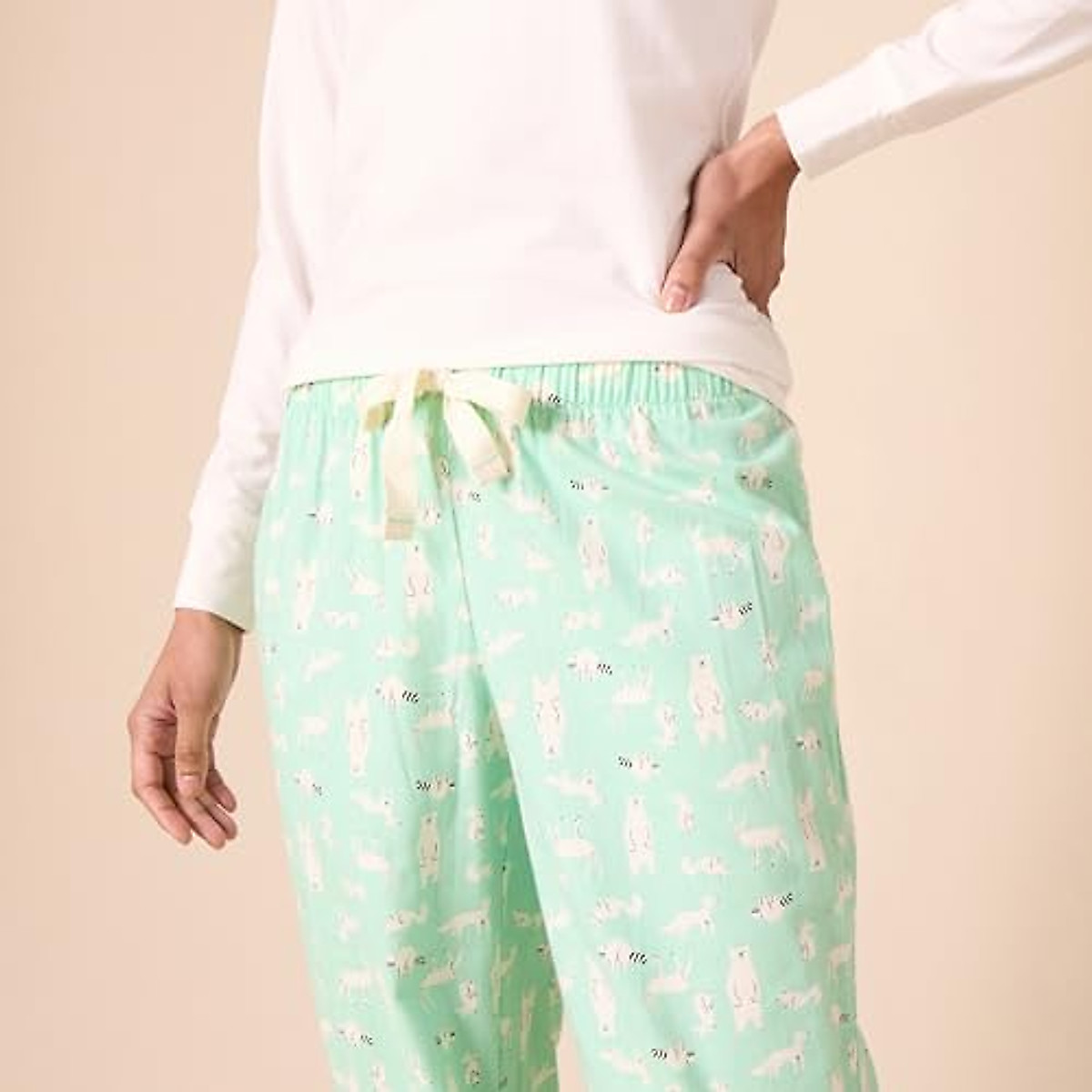 Amazon Essentials Women's Lightweight Flannel Pant and Long-Sleeve T-Shirt Sleep Set, Mint Green Forest Animals, Medium