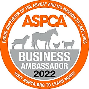 ARES 10041 – Tungsten Carbide Scraper – 5-8-Inch-Wide Blade – Tungsten Carbide Blade Tip with Abrasive Finish – Removes Residue from Steel, Aluminum, and More