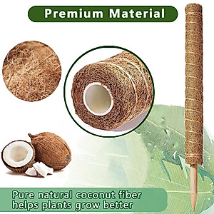 Moss Pole -2 Pack 17 Inch Monstera Plant Support for Climbing Plants Accessories Indoor -Stackable Moss Poles Plant Support Stakes -Coir Plant Pole Sticks for Potted Plants -Pothos - Plant Trellis