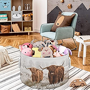 PAYOHTO Large Rope Basket Scottish Highland Cow Decor Baby Stuff Storage Baskets Blanket Clothes Pillows Toys Storage Bin Holder Water Resistant Laundry Hamper Farmhouse Living Room Western Home Decor