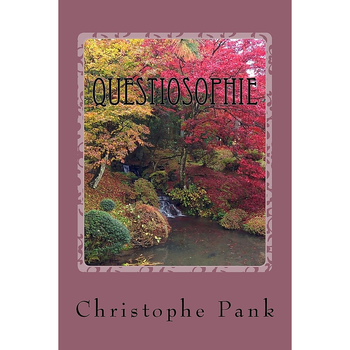 Questiosophie: Apprendre a poser des questions pour mieux decouvrir (Cadre, Posture et Questiosophie) (French Edition)