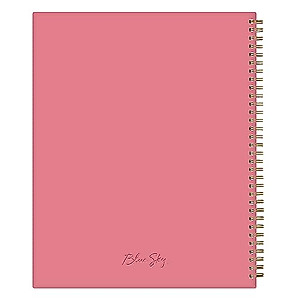 Blue Sky 2024 Weekly and Monthly Planner, January - December, 8.5" x 11", Frosted Cover, Wirebound, Fly By (140195-24)