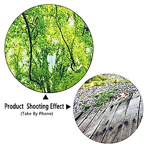 Dudaacvt Enchanted Forest Backdrop 5x7ft Trees Path Wood Floor Rain Photo Background Vinyl Shoot Studio Props for Party Pictures Q007