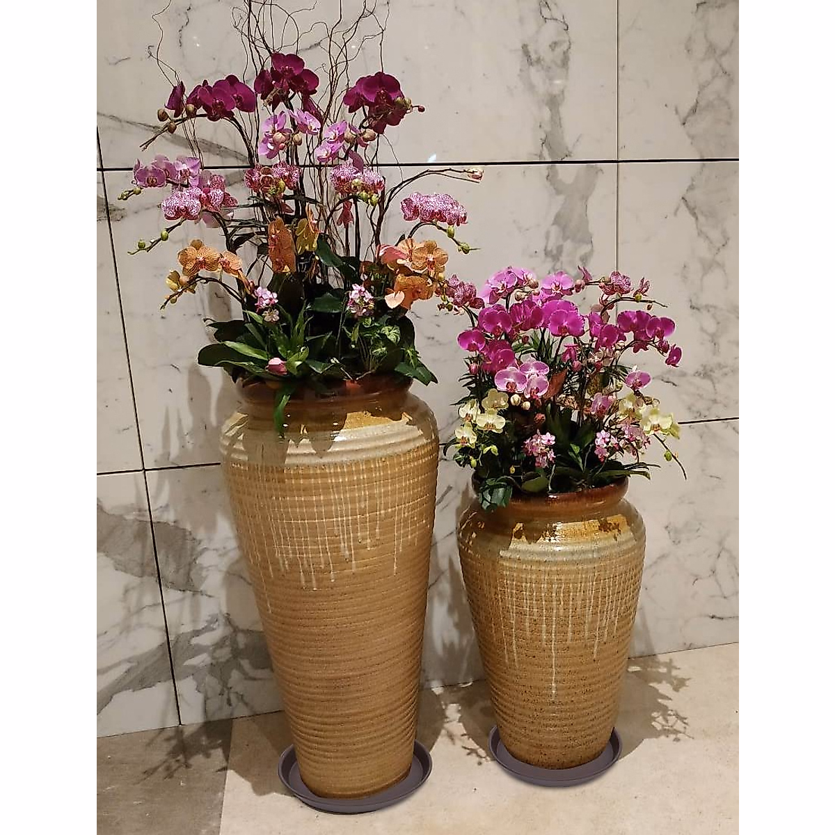 Angde Plant Saucer 10 Inch, 6 Pack of 10 inch Plant Tray, Heavy Duty Plastic Plant Saucers for Indoors Round, Plant Water Tray, Pot Trays Saucers for Planter 10-13" (Chocolate Brown)