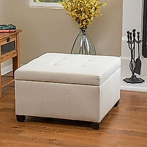 Christopher Knight Home Richmond KD Fabric Storage Ottoman, Beige