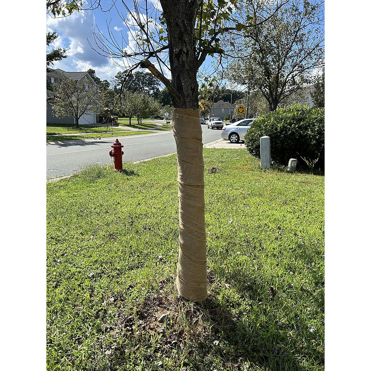 8 inch wide by 60 feet long tight weaved burlap tree plants wrap for protection ribbon | high density finished edges country style indoor outdoor table runner