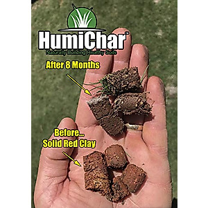 The Andersons HumiChar Organic Soil Amendment with Humic Acid and Biochar (40 lb)