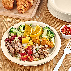 Vplus 150 Pack Paper Plates 9 inch 100% Compostable Plates Heavy-Duty Disposable Paper Plates Bagasse Natural Biodegradable Eco-Friendly Sugarcane Plates