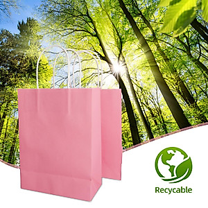 YADIAN 12 Pieces Kraft Paper Party Favor Gift Bags with Handle, Pink Gift Bags Small Size for Halloween, Christmas, Birthday, Wedding and Party Celebrations