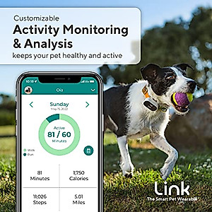 Link GPS Dog Tracker + Activity Monitor | Training Tools, Health Tracker, Waterproof, Flashlight, Lightweight, PetPass & Vet Record Storage, Fits On Most Collars | iPhone & Android Apps