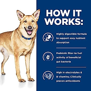 Hill's Prescription Diet i/d Digestive Care Chicken & Vegetable Stew Canned Dog Food, Veterinary Diet, 12.5 oz., 12-Pack Wet Food