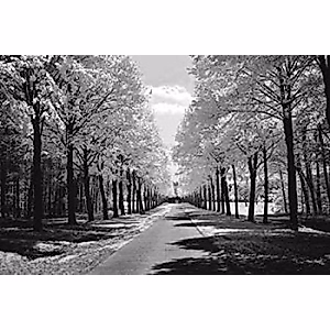 Posterazzi Sublime Poster Print by Ily Szilagyi, (12 x 18)