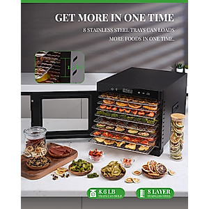 Stainless Steel GDOR Food Dehydrator with 8 Trays, Digital Adjustable Timer & Tempe Control Food Dryer Machine for Jerky, Vegetable, Fruit, Meat, Dog Treat, Herb, and Yogurt, Include More Accessories