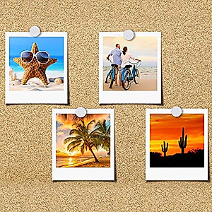 200PCS Decorative Thumb Tacks, SAILAVY Steel Round Head Push Pins for Home, School, Office, Map, Photo Wall, Cork Board Bulletin Board (White)