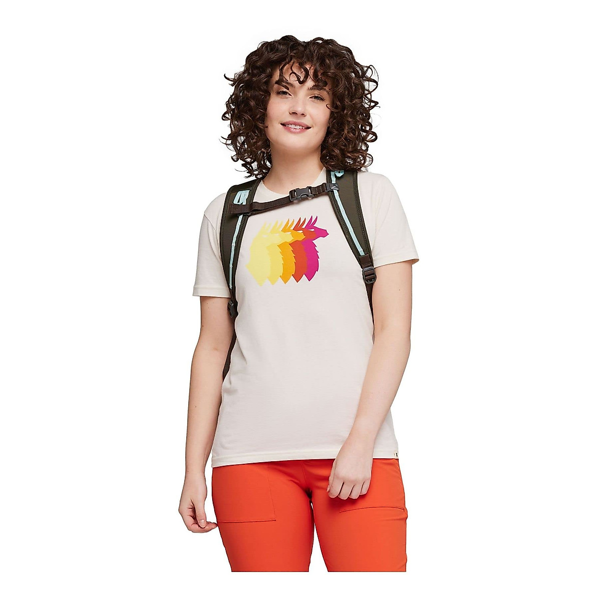 Cotopaxi Moda 20L Backpack - Cada Dia - Gulf