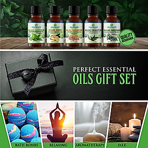 Grimweed Apothecary Organic Peppermint Essential Oil, 100% Pure and Natural | Premium Grade Essential Oils for Diffusers, Aromatherapy, Massage, Humidifiers and Topical uses