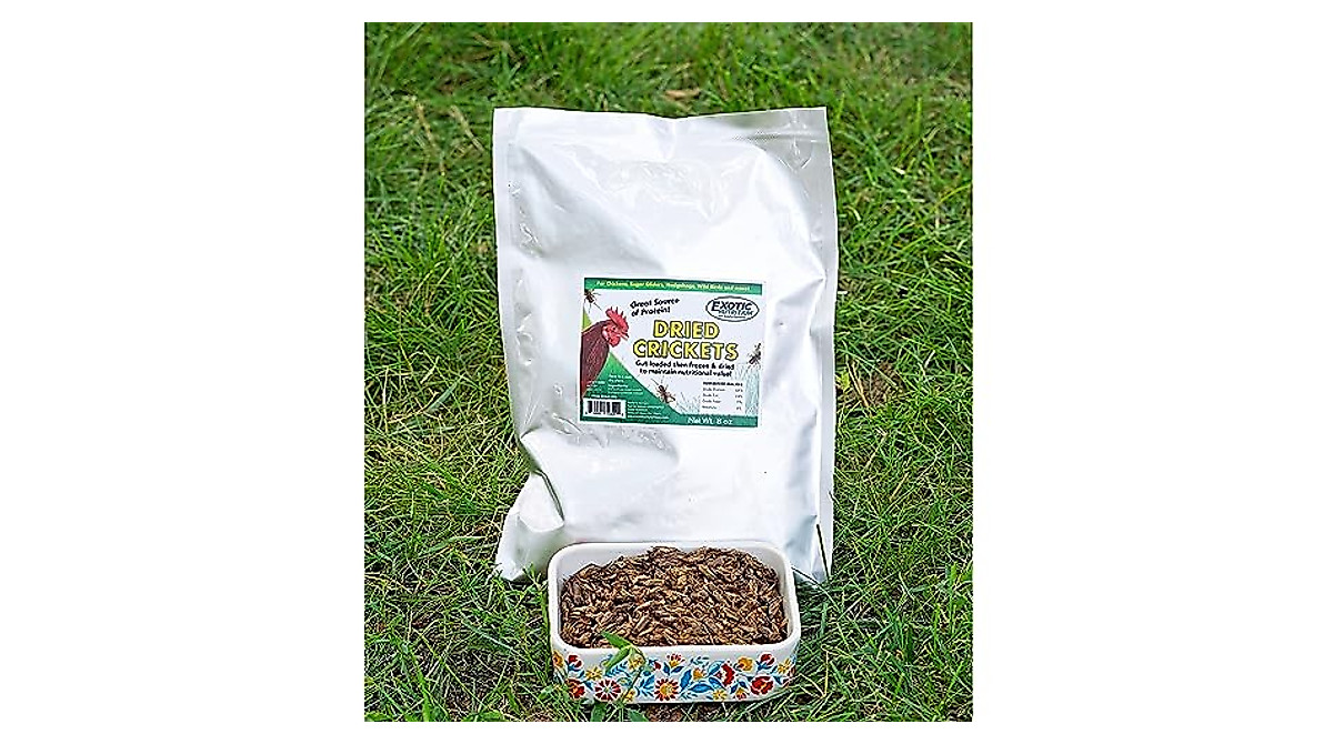 8 oz Dried Crickets - High Protein Treat for Pets