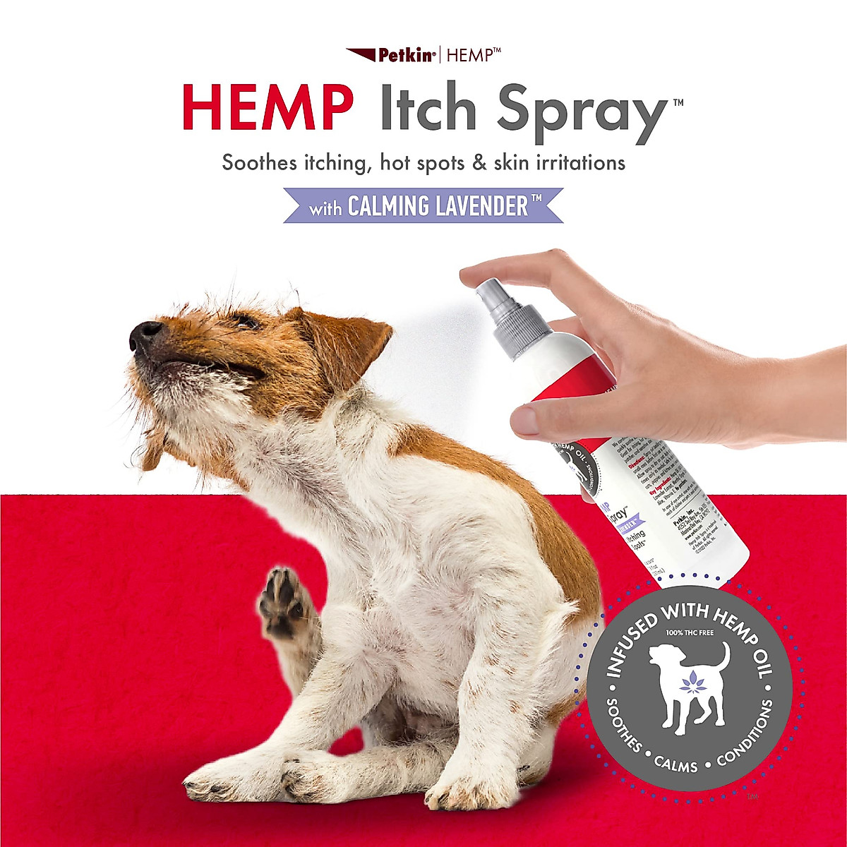 Petkin Hemp Anti Itch Spray for Dogs and Cats – with Hemp Oil & Calming Lavender Extract, 8 fl oz – Reduce Itching, Hot Spots and Skin Irritation – Soothes, Calms & Conditions