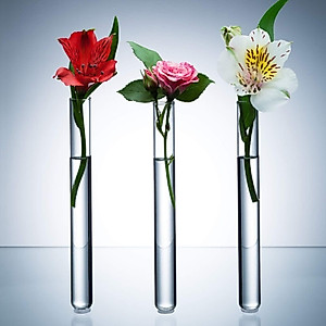 Temedon 50pcs Test Tubes, 16x150mm(25ml) Plastic Test Tubes with Caps for Lash Wands, Candy Storage, Scientific Experiments, Plant Propagation