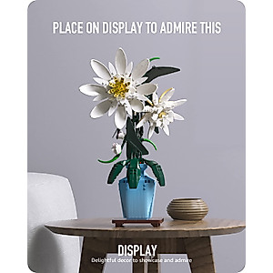 Nifeliz Epiphyllum Display Model, Flower Building Toy, Home Decor for Adult Plant Lovers and Gift Giver (678 Pieces)