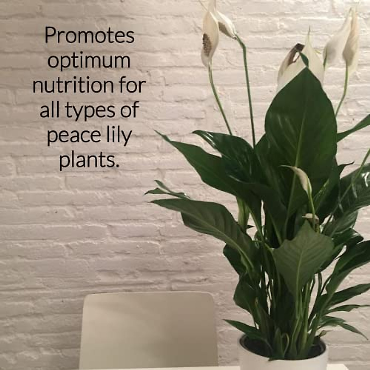 Professional Liquid Peace Lily Plant Fertilizer | 3-1-2 Concentrate for Plants and Flowers | Multi-Purpose Blend & Gardening Supplies | 8 oz Bottle