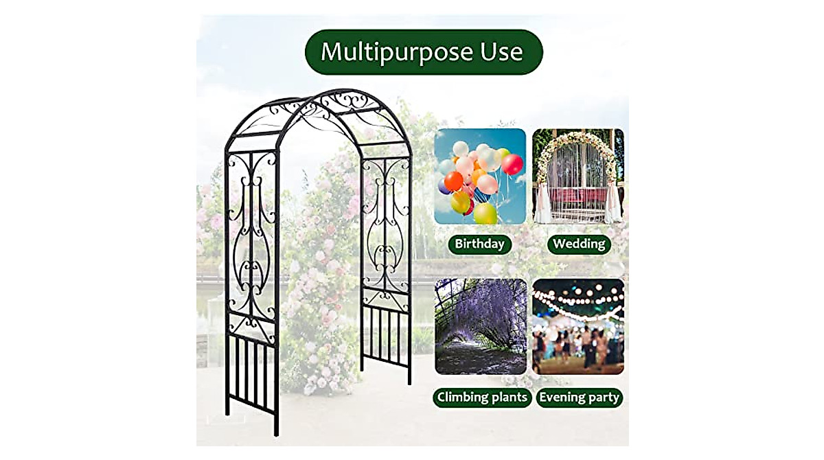 Stunning Black Metal Garden Arch for Climbing Plants