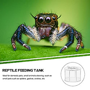 Balacoo Reptile Breeding Box Acrylic Reptile Terrarium Cage Tank Tarantula Scorpion Sling Isopods Lizards Roach Invertebrates Insect Mantis