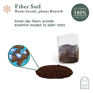 Window Garden 20 Cavity Seed Propagation Kits (2) – Complete with Fiber Soil and Ventilated Greenhouse Trays. Germinate Seeds in a Window or Under Lights for The Garden. Reusable Seedling Starter.