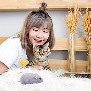 STOBOK 1set Remote Control Mouse Model Remote Control Toy Chew Toys Toy Rc Toy Rc Pets Cat Toy Cat Teasing Toy Cat Playing Toys Realistic Mouse Toy Electronic Component