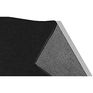 Koeckritz Outdoor Area Rug Carpet, Lightweight for Patios, Gazebos, Sheds, Decks, Garages, Trade Show Booths, Black, 9 x 12