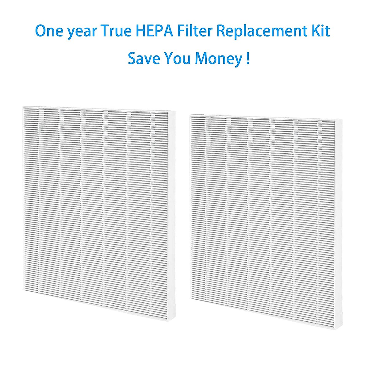 2 Pack True HEPA D4 Replacement Filters Compatible with Winix D480 Air Purifier, Item Number 1712-0100-00, Filter D4