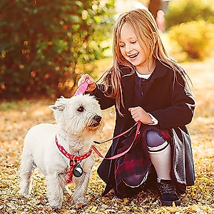 Ainiv Holder Case for AirTags, Waterproof Protective Case for AirTags, Ultra Light Anti-Scratch Protective AirTag with Keychain, Item Finders for Pets, Luggage, Wallet, Backpacks-Black