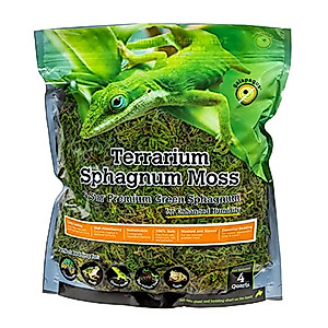 Galápagos (05213) Terrarium Green Sphagnum Moss, Natural, 4 Quart