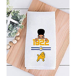Generic MEIKIUP Sigma Gamma Rho Sorority Inspired Gift 1922 Paraphernalia Kitchen Towel SGRho Dish for Woman Housewarming (1922 Towel)