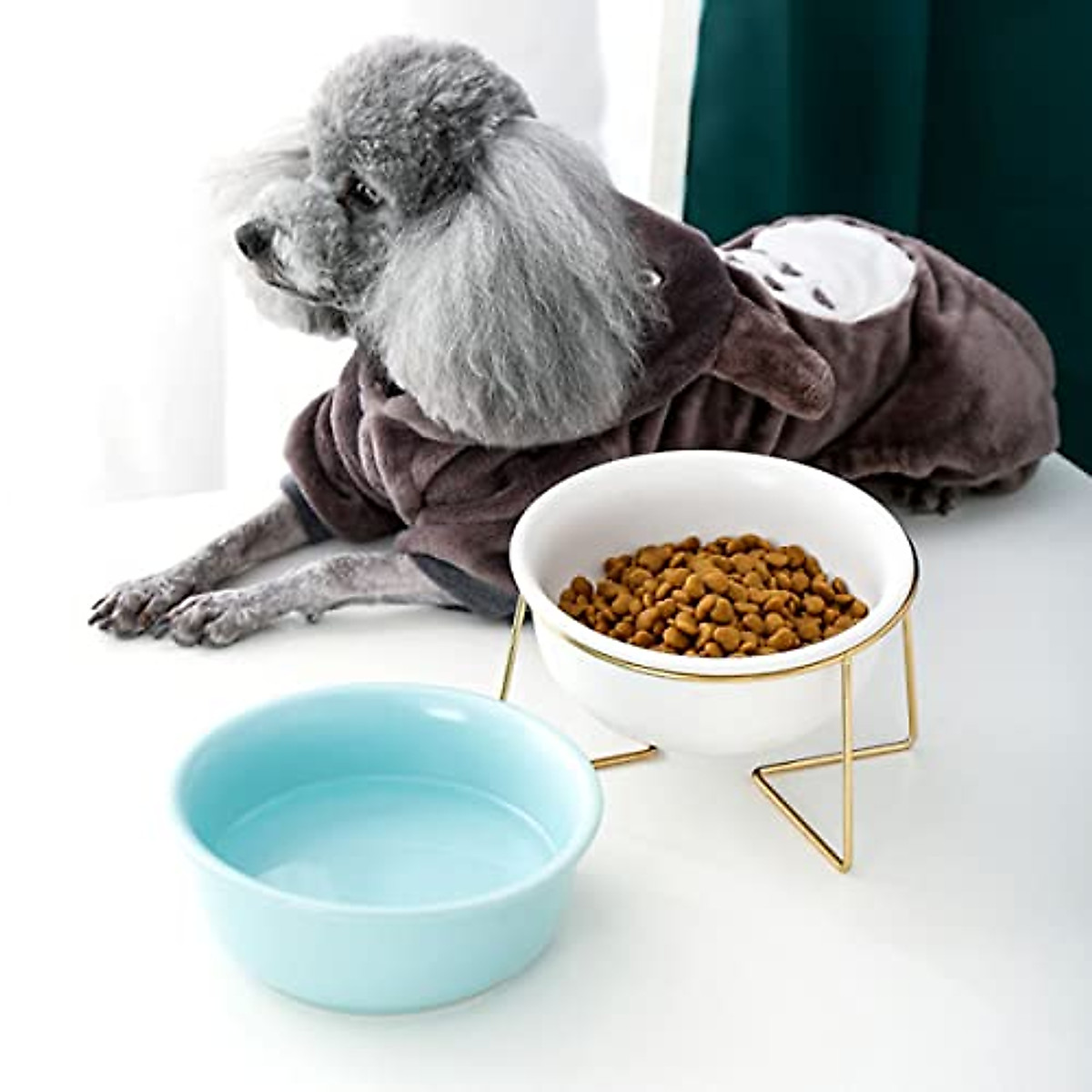 Balacoo 2pcs Container for Kitten Ceramic Pets Stress Care- Dog Gold Cervical Dispenser Iron Blue Dish Stand Use Slant Tilted Pet Dishes with Titled Puppy High Food Eating Free