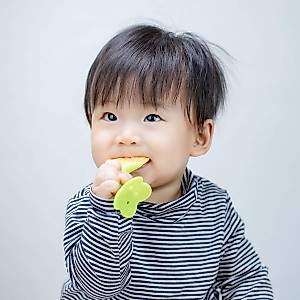 Stand-Up Teething Toys for Babies 0-6 Months 6-12 Months - Teethers with 2 × Baby Fruit Feeders and 4 × Baby Teether - BPA Free/Freezer Free - Different Soft Textures for Infant and Toddlers (Green)