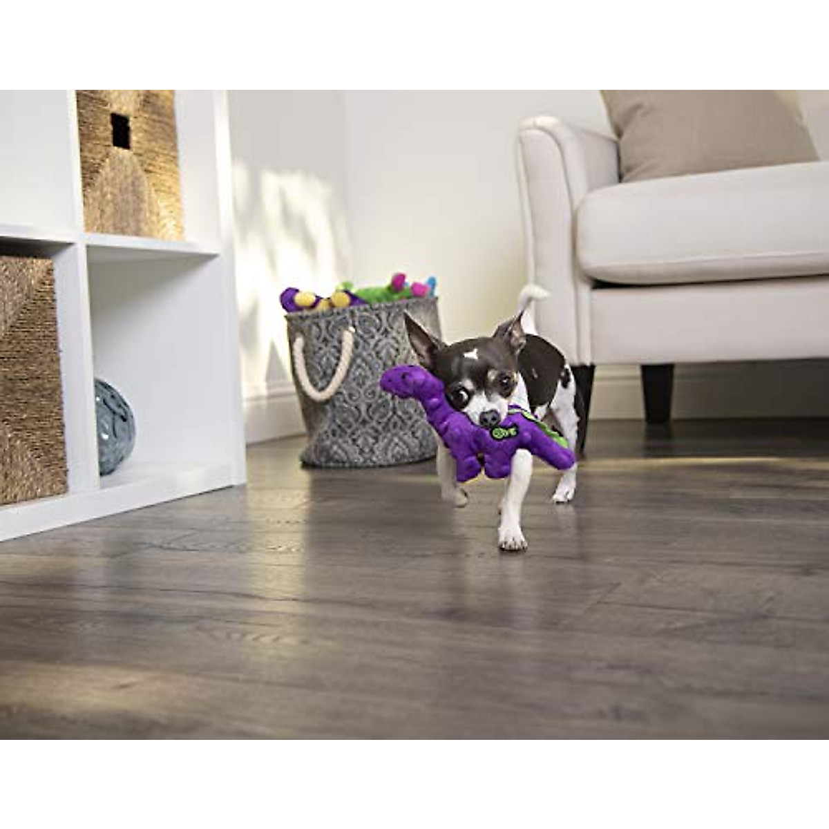 goDog Just For Me Bruto with Chew Guard Technology Plush Dog Toy, Purple, Mini