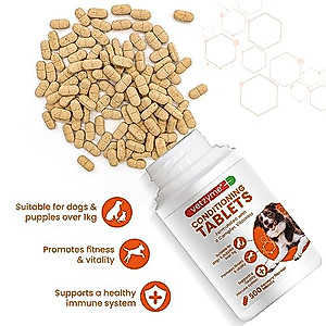 Vetzyme Conditioning Tablets, 500 Tablets