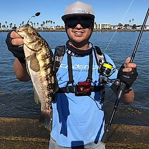 Cadence CR7 Spinning Rod, Fishing Rod with 40 Ton Carbon,Fuji Reel Seat,Durable Stainless Steel Guides with SiC Inserts,Full Assortment of Lengths, Actions for Spinning Reels