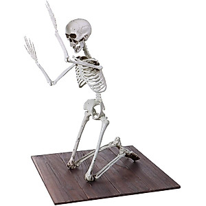 Sizonjoy 35" Posable Halloween Skeleton, Full Body Joints Plastic Skeleton with Movable/Posable Joints,Perfect for Halloween Haunted House Props Decorations Outdoor
